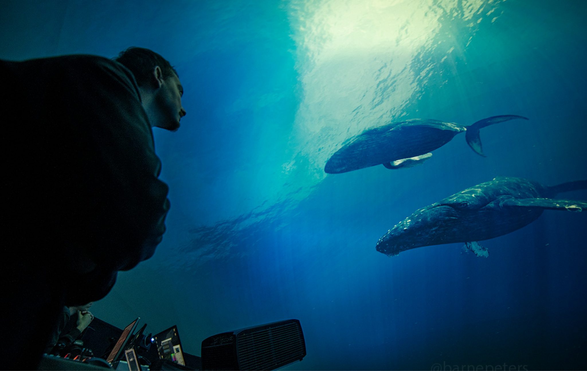 Ocean Dome – Ocean Mind Foundation